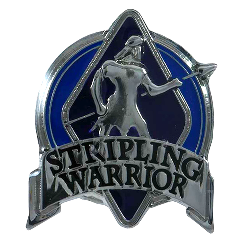 Stripling Warrior Pin