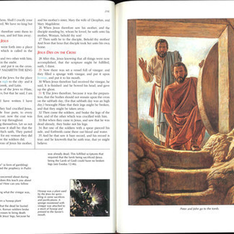 The New Testament for Latter-day Saint Families