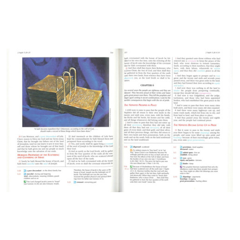 The Book of Mormon for Latter-day Saint Families