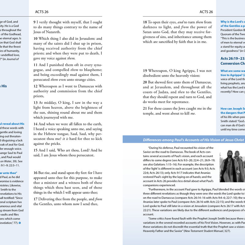 The New Testament Study Guide: Start to Finish