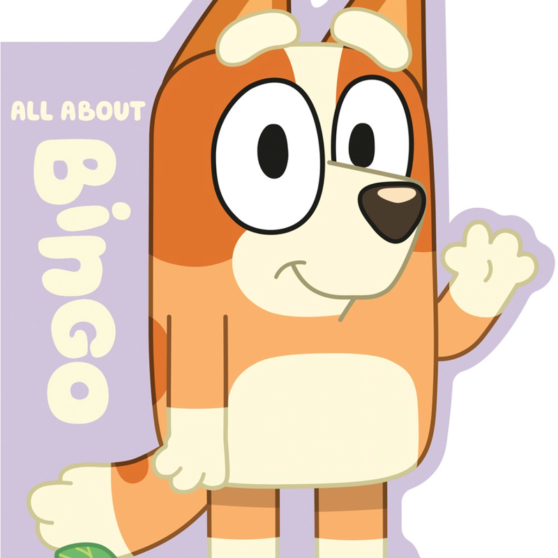 Bluey All About Bingo