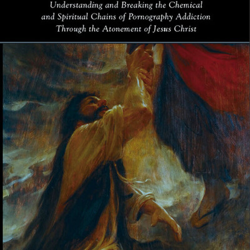 He Restoreth My Soul Understanding And Breaking The Chemical And ...