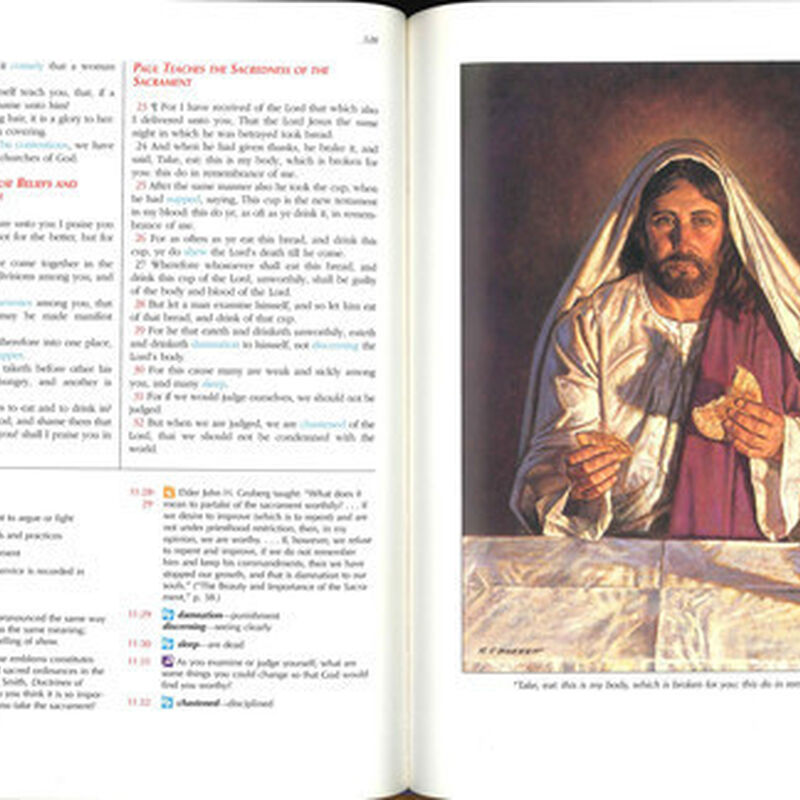 The New Testament for Latter-day Saint Families