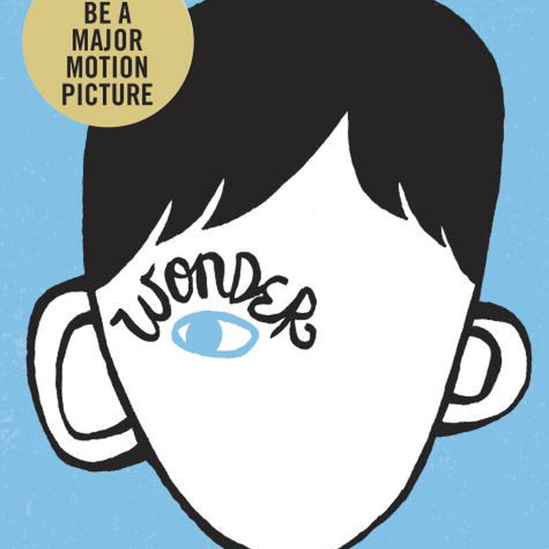 how to draw wonder book cover
